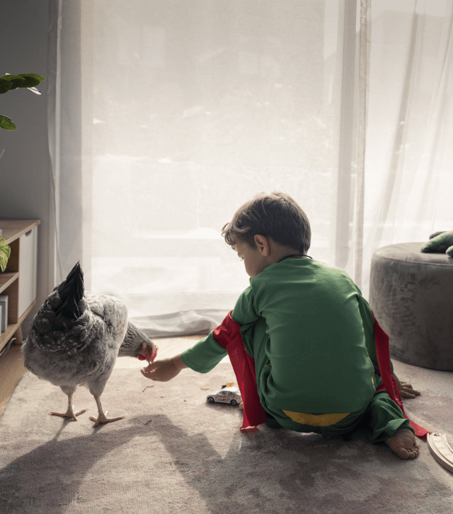 Fletcher Living's New Homes in NZ | Quality and Style » Fletcher Living