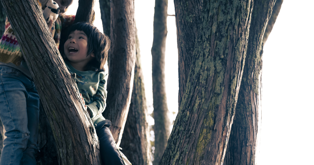 Sustainability » Fletcher Living